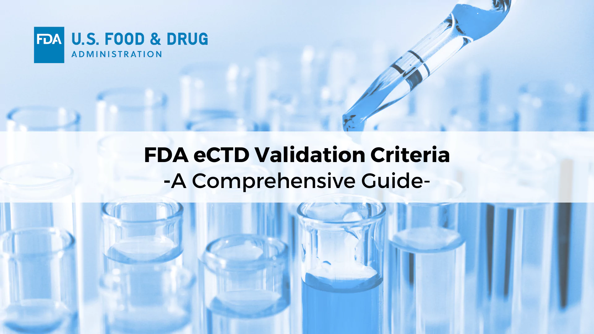 FDA eCTD Validation Criteria FDA eCTD Validation Criteria